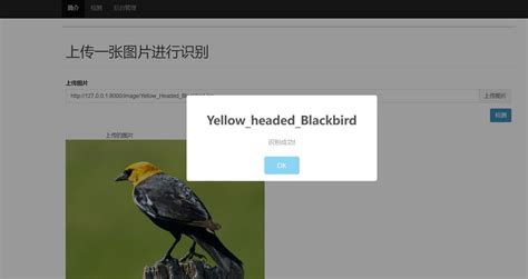 python 鸟类识别系统 tensorflow项目 个人文章 SegmentFault 思否