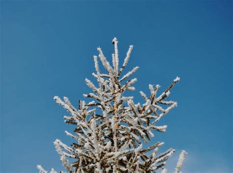 Українські захисники звільнили 12 населених пунктів на Херсонщині Генштаб — Pmg Ua