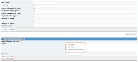 Adding Custom Fields Mantishub