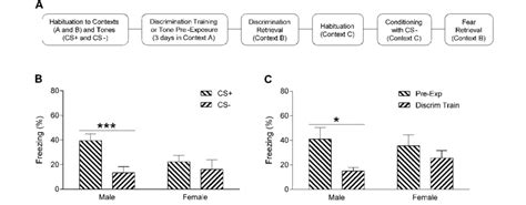 Sex Differences In Auditory Fear Discrimination With Extended Training Download Scientific