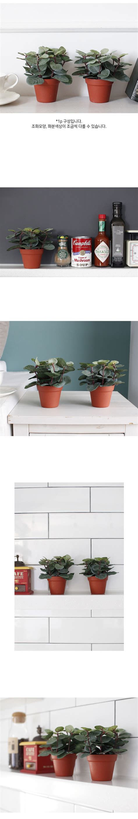 장식 미니조화 화분 1p 감도 깊은 취향 셀렉트샵 29cm