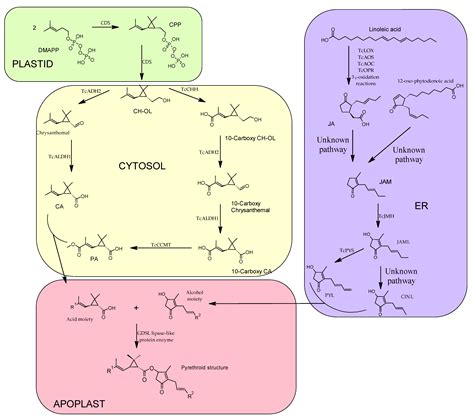 Pyrethrins And Pyrethroids A Comprehensive Review Of Natural Occurring