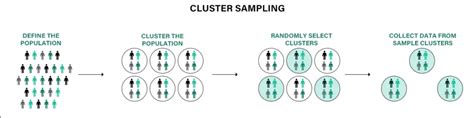 Guide Cluster Sampling Learn Lean Sigma