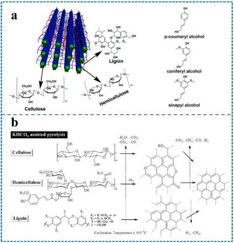 A Schematic Illustration Of The Location And Molecular Structure Of