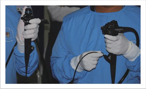 Figure 1 From Per Oral Cholangioscopy Semantic Scholar