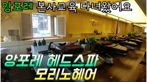 하이 앙포레헤드스파모리노헤어 본사교육 다녀왔습니다 Youtube