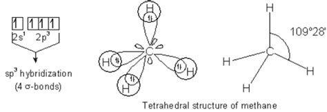 Explain Sp3 Hybridization By Taking Methane Ch4 As An Example Sarthaks Econnect Largest