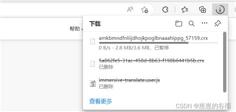 谷歌浏览器安装插件（从 edge 浏览器里获取插件） 谷歌浏览器插件 csdn博客