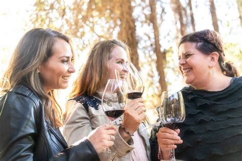 Can Drinking Wine Really Improve Your Mood Wine History Tours