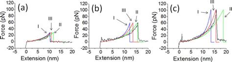 Representative Experimental And Simulated Force Extension Curves Under Download Scientific