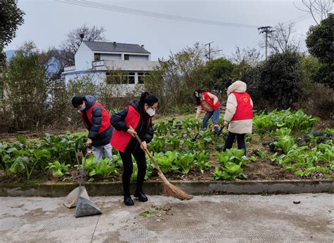 助力和美乡村丨文成青年在行动整治环境建设