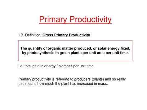 Primary Productivity Definition