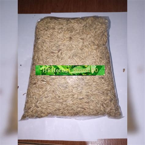 Benih Padi Beras Merah Kg Jual Benih Padi Beras Merah Asli Ladang Lokal Benih Padi Unggul Benih