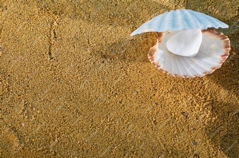 premium photo a large pearl in a clam shell lies on a sea beach in a