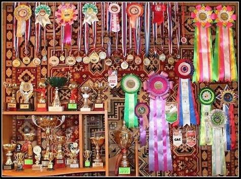 Французский бульдог в наличии во Владивостоке