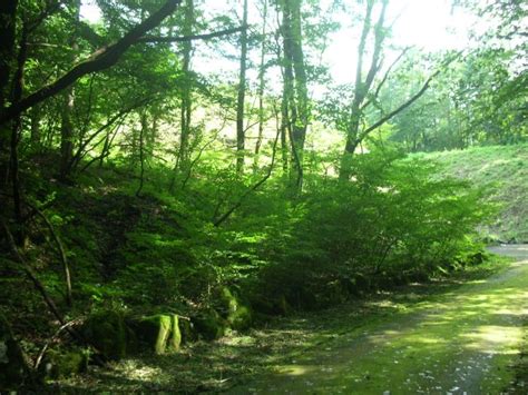 京王スバル高原1次別荘地T KK 99 ふじ企画株式会社別荘山中湖河口湖の不動産設計施工リフォーム