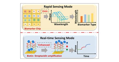 Advancing Microrna Detection Enhanced Biotinstreptavidin Dual Mode Phase Imaging Surface
