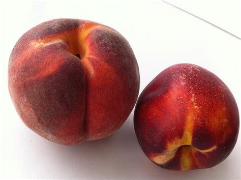 Рецепт Салат с шоколадным соусом дрессингом Первый Вегетарианский