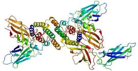 Cytokine Receptors Creative Diagnostics