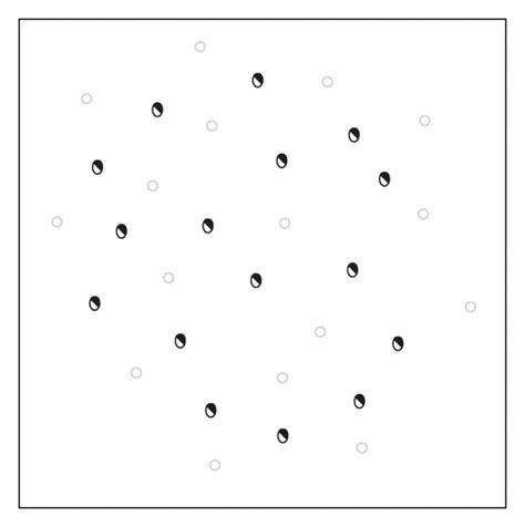 Steps Of The Interpolation Method Of Triangulation Combined With Bp