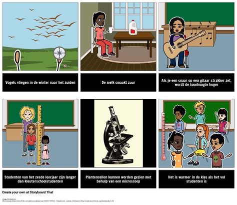 Voorbeelden Van Waarnemingen Storyboard Per Nl Examples