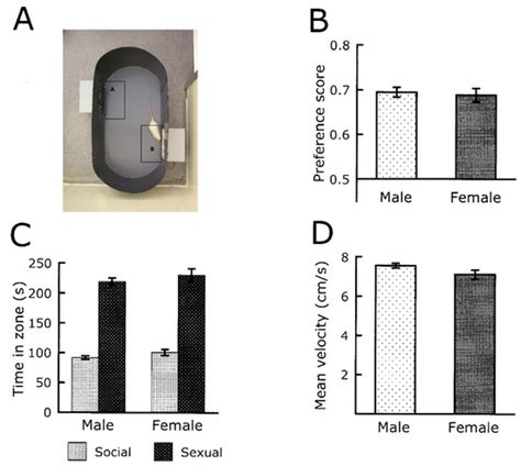 Behavioral Sciences Free Full Text Sex Differences In Sexual