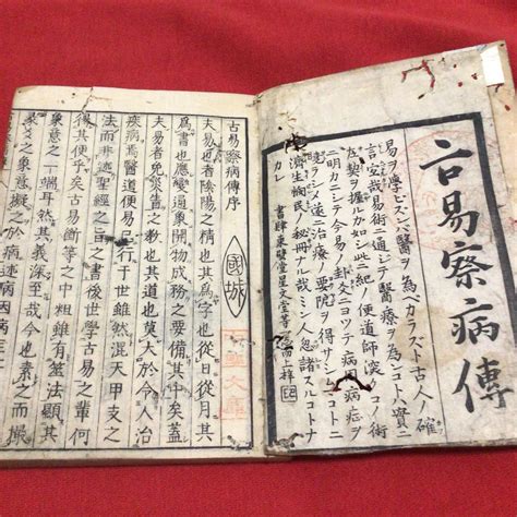 傷や汚れあり古易察病伝 一冊揃 中野康章旧蔵 和本 古書 古文書 古典籍 版本 写本 医書 医学書 漢学 東洋医学 江戸 中国 漢籍の落札