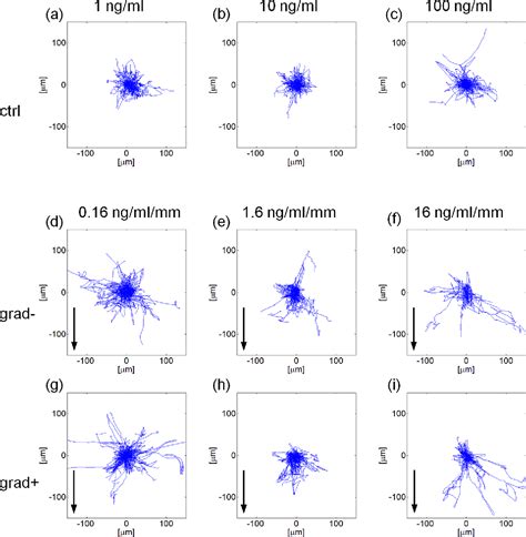 Figure 7 From Optimizing Design And Fabrication Of Microfluidic Devices