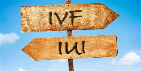 Ivf Vs Iui Which One Is Right For You Genesis Fertility New York