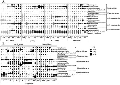 Spatio Temporal Variation Of The Most Abundant ≥1 Bacterial Orders