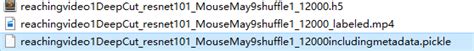 Reachingvideo1deepcutresnet101mousemay9shuffle112000h5 Does Not