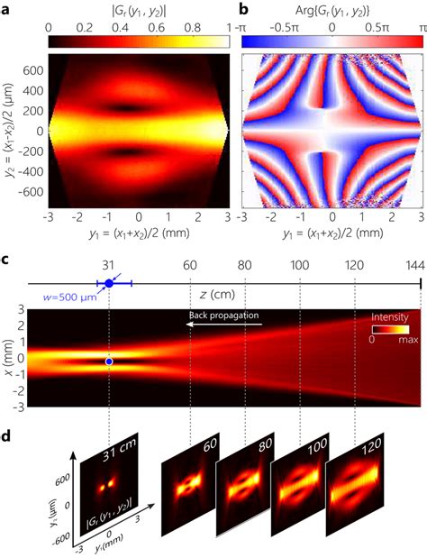 Back Propagation Of The Measured Coherence Function For The