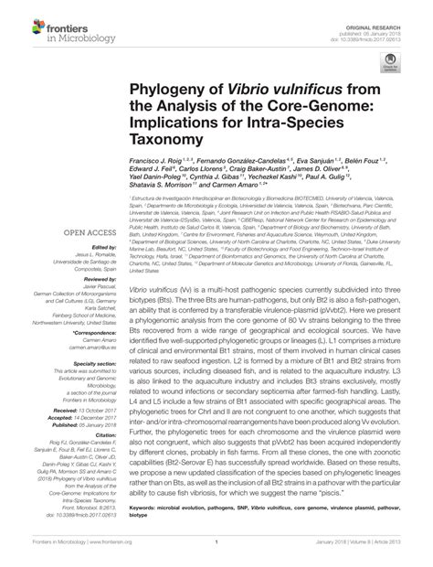 Pdf Phylogeny Of Vibrio Vulnificus From The Analysis Of The Core
