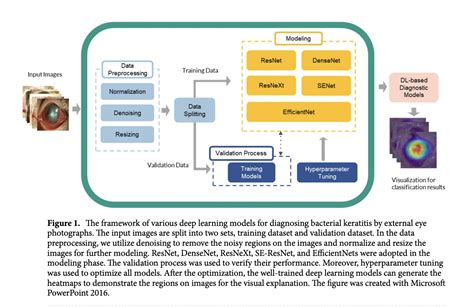 Researchers Compare Deep Learning Dl Algorithms For Diagnosing Bacterial Keratitis Via