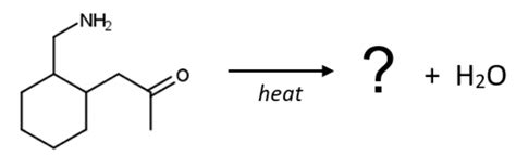 Solved Trying To Determine The Product Of This Cyclic Amine
