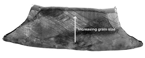 Tikalon Blog By Dev Gualtieri