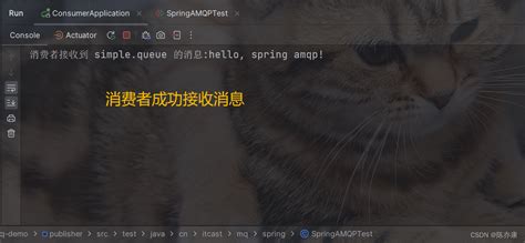 ＜rabbitmq Springamqp＞ 初阶 从概念到实战系统讲解，带你领略服务异步通讯的魅力spring Amqp 和