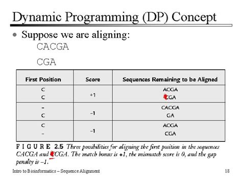 Introduction To Bioinformatics Sequence Alignments Sequence Alignments
