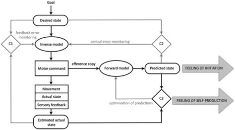The Comparator Model Of The Motor Control System And The Comparator