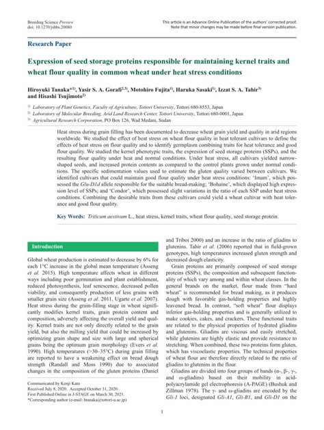 Pdf Wheat Flour Quality In Common Wheat Under Heat Stress Dokumentips