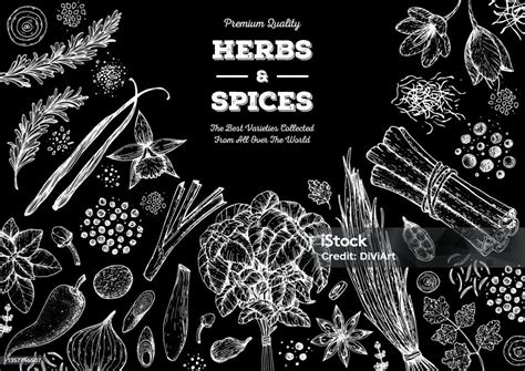 허브와 향신료 손으로 그린 벡터 일러스트레이션 향기로운 식물 손으로 그린 음식 스케치 빈티지 일러스트레이션 카드 디자인 스케치 스타일입니다 향신료와 허브 흑백 디자인 배경
