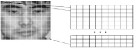 Figure 1 From A Framework For Face Recognition Using Self Organizing
