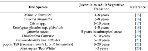 Time Of Juvenile To Adult Vegetative Transition In Several Download Scientific Diagram