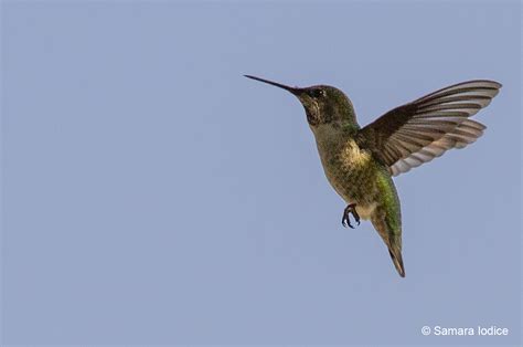 Lets Talk About Sex Philosophy Of Me