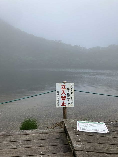 泉鏡花作品の舞台夜叉ヶ池に ひさっち（ひさっしー）さんの夜叉ヶ池山・三周ヶ岳の活動データ Yamap ヤマップ