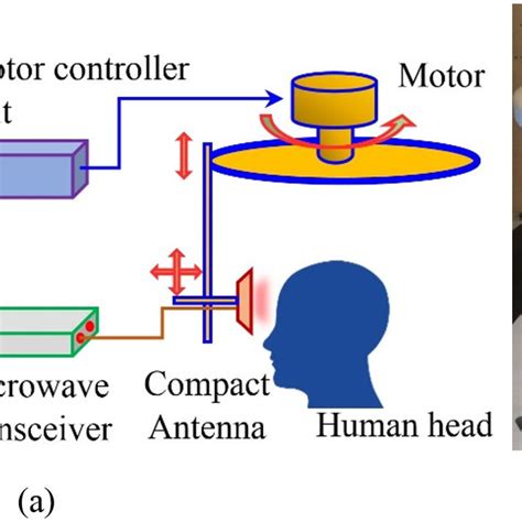 The Proposed Microwave Head Imaging System Download Scientific Diagram