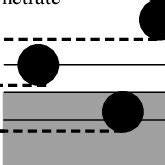 A Binary Search To Identify An Initial Contact Whose Penetration Is Download Scientific Diagram