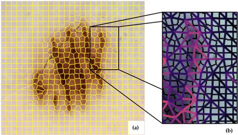 spatial views of region relationships a region partitioning by slic download scientific