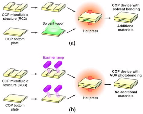 Components Of Microfluidic Device At Karen Saunders Blog