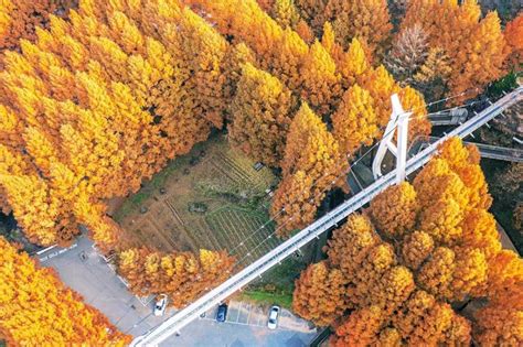 이래서 다들 갔구나 2024년 2천만 명 몰린 힐링 명소 여행을말하다 여행을말하다